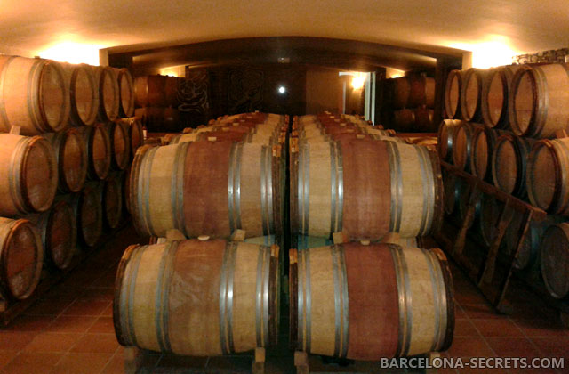 Private Wine Tour to Alella | BARCELONA SECRETS Private Tour Guide