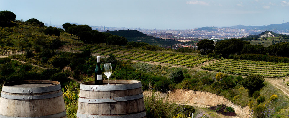 Private Wine Tour to Alella | BARCELONA SECRETS Private Tour Guide